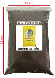 พีทมอส (Peat Moss) คืออะไร