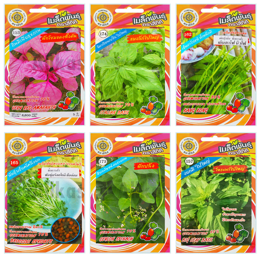 เมล็ดพันธุ์ สี่ทิศ 3