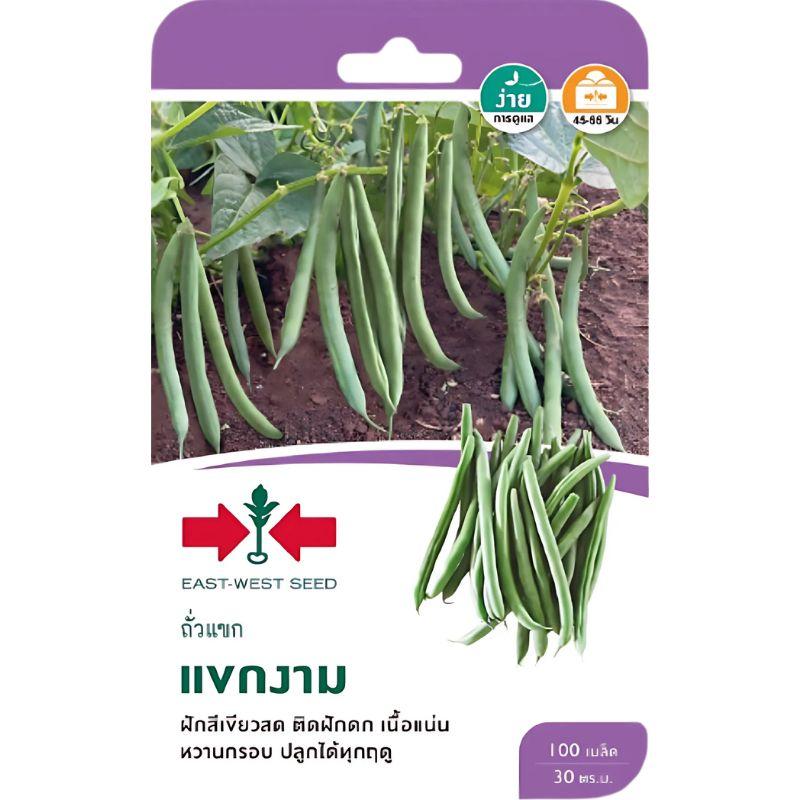 เมล็ดพันธุ์ ถั่วแขก แขกงาม ตราศรแดง (เมล็ดพันธุ์ ถั่วแขก แขกงาม ตราศร ...