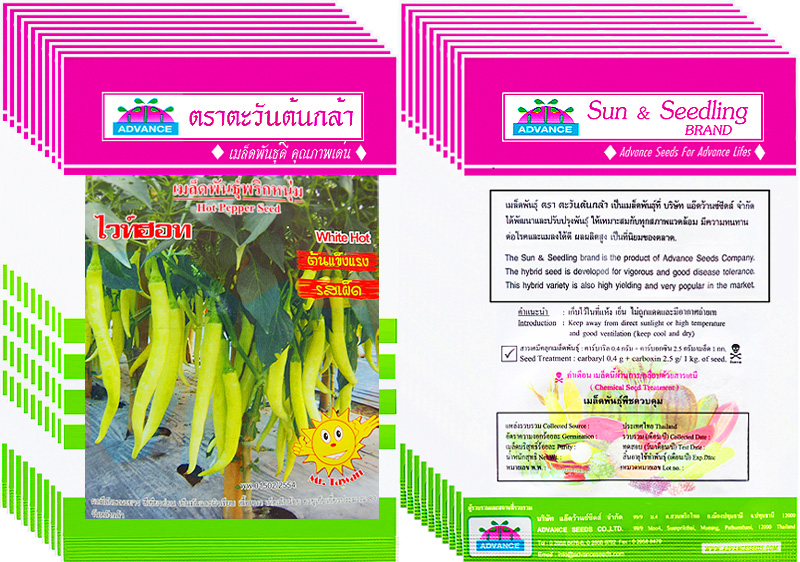 เมล็ดพันธุ์พริกหนุ่ม ไวท์ฮอท (5 กรัม ความงอก 85%)