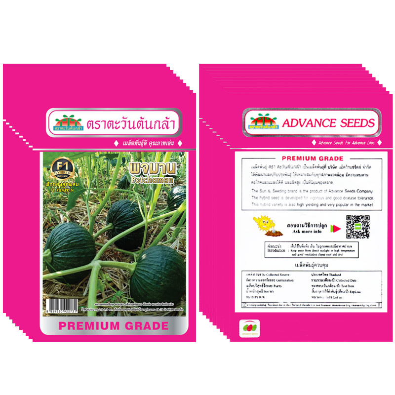 เมล็ดพันธุ์ฟักทองพจมาน (1 ห่อ 10 กรัม)