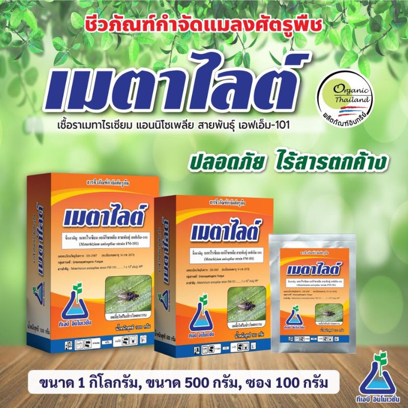 เมตาไลต์ ขนาด 100 กรัม ( เมตาไลต์ : เชื้อราเมทาไรเซียม แอนนิโซเพลีย สายพันธุ์ เอฟเอ็ม-101 ...