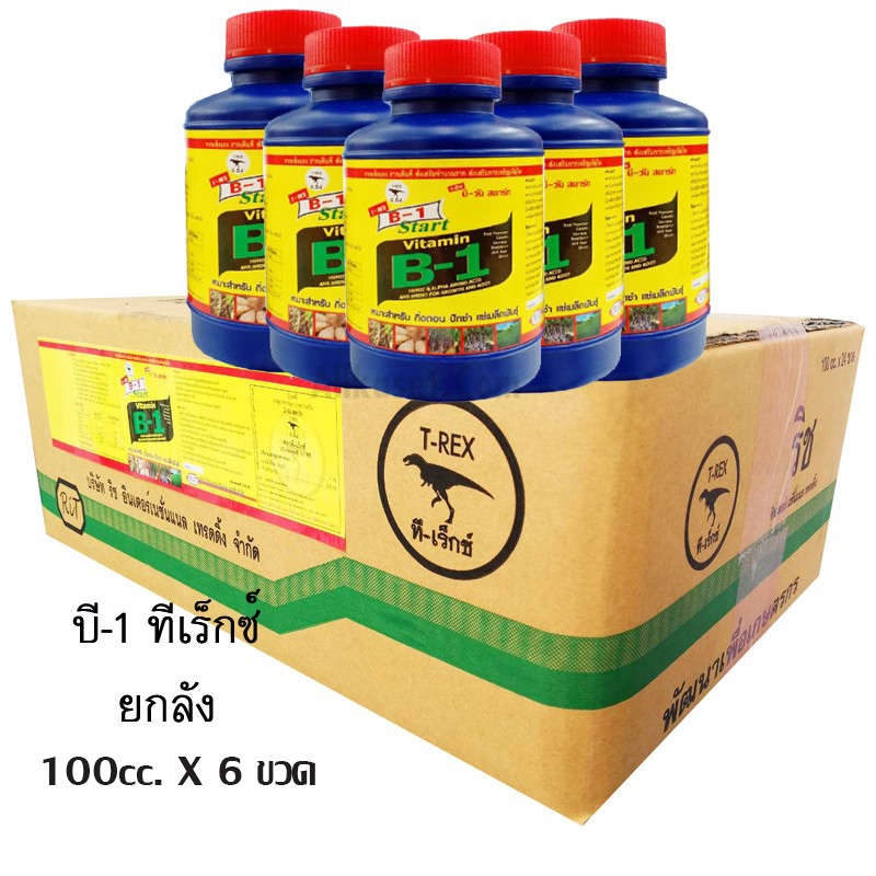 B-1 ทีเร็กซ์ ขนาด 100cc ยกลัง 6 ขวด ()