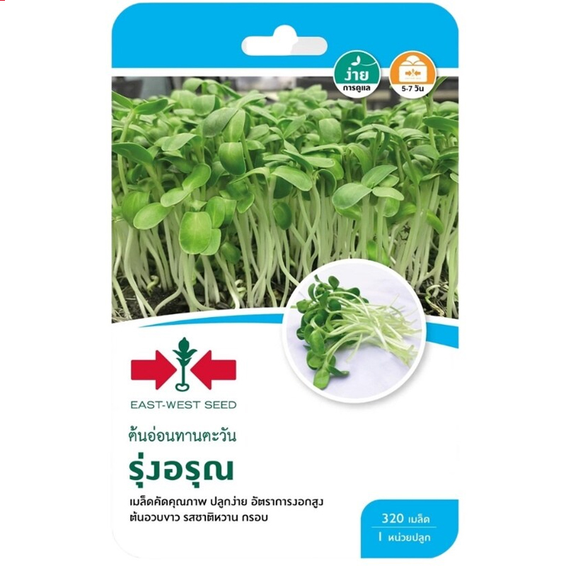 เมล็ดต้นอ่อนทานตะวันรุ่งอรุณ ()