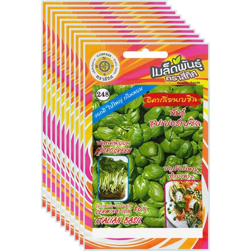 เมล็ดอิตาเลี่ยนเบซิล พันธุ์ซุปเปอร์เบซิล ()